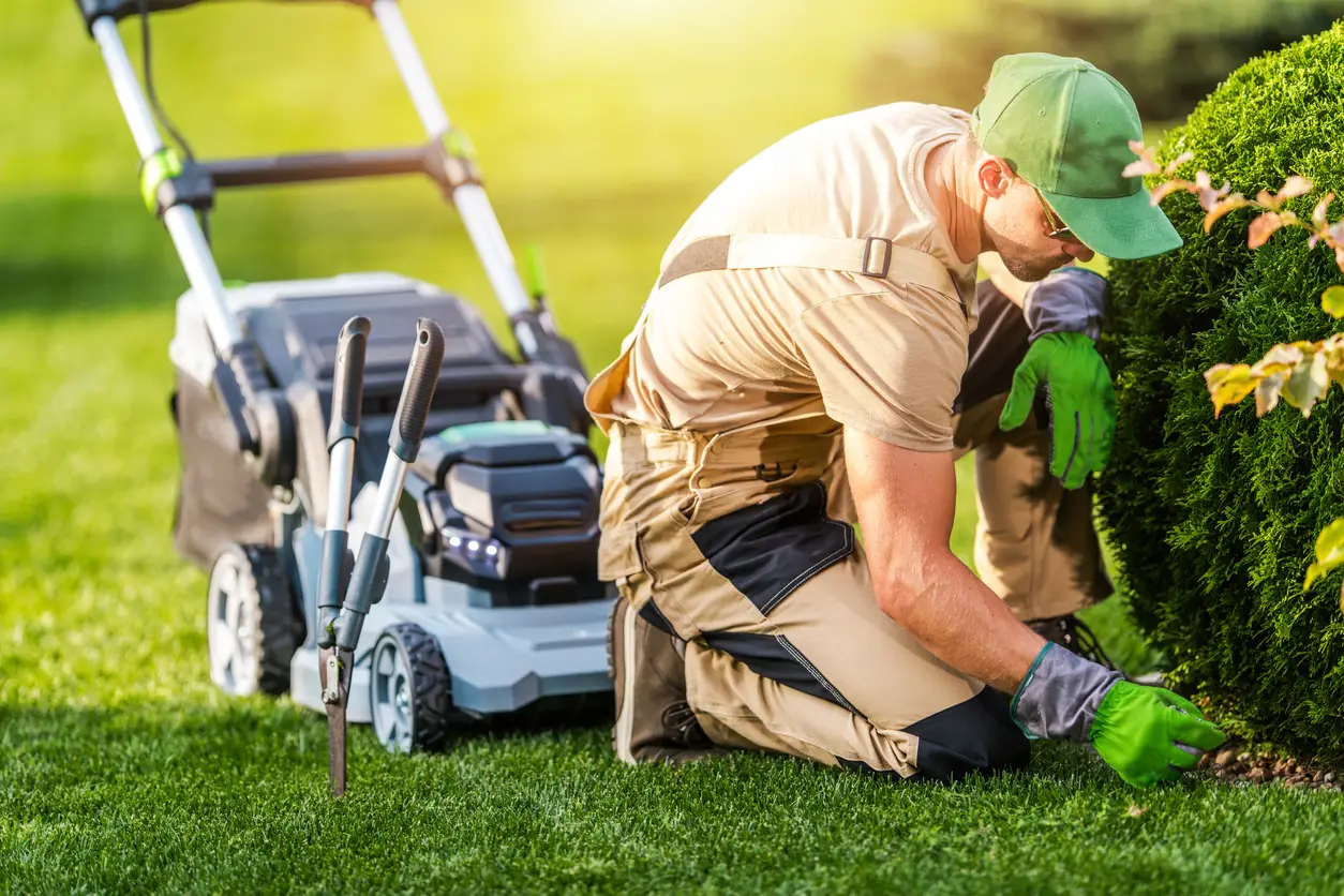 Nampa Yard Cleanup Services: Guide to a Greener Landscape